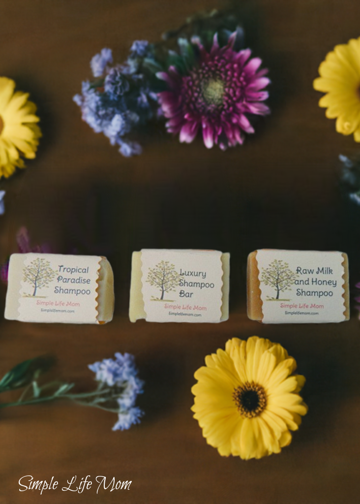 SHAMPOO GIFT SET - 3 Natural Shampoo Bars, vegan shampoo, zero waste ...