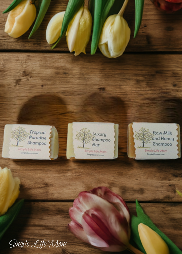 SHAMPOO GIFT SET - 3 Natural Shampoo Bars, vegan shampoo, zero waste ...
