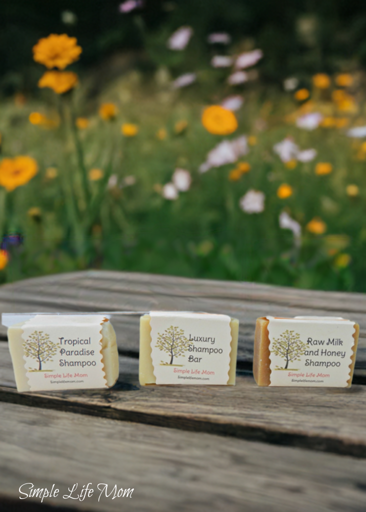 SHAMPOO GIFT SET - 3 Natural Shampoo Bars, vegan shampoo, zero waste ...