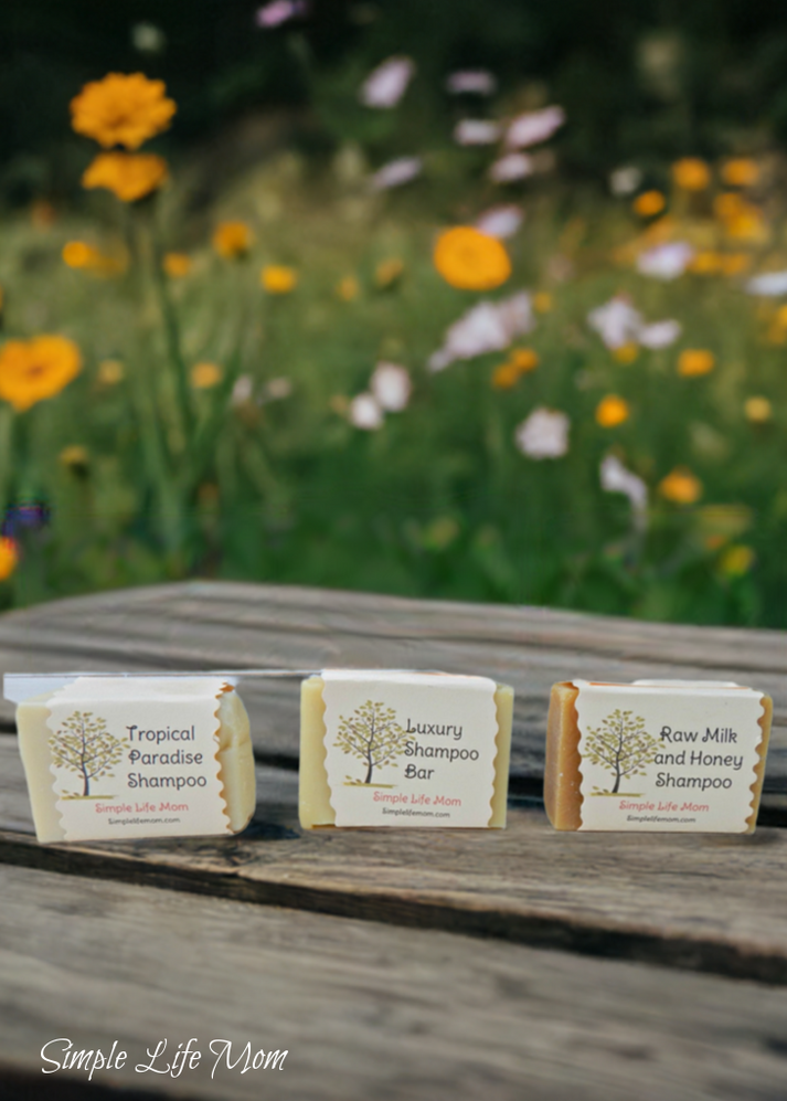 SHAMPOO GIFT SET - 3 Natural Shampoo Bars, vegan shampoo, zero waste ...