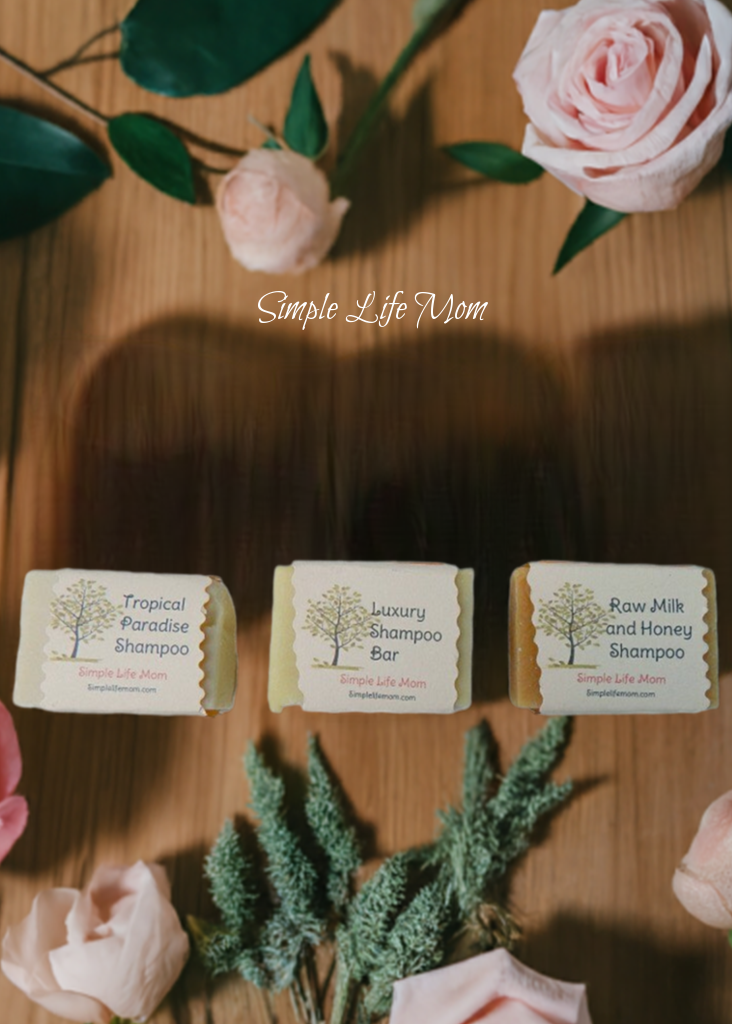 SHAMPOO GIFT SET - 3 Natural Shampoo Bars, vegan shampoo, zero waste ...